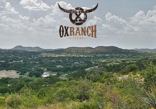 Freedom: Now Only $500,000 per Month – Musings and Malarkey