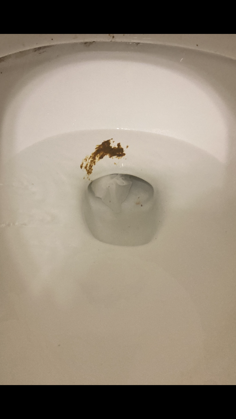 The Loch Ness Monster is a Long Way From Home – Musings and Malarkey